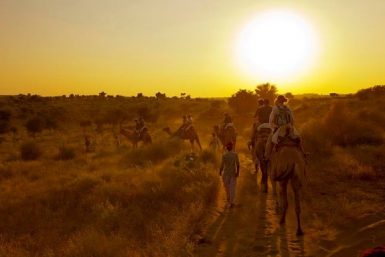 Experience Rajasthan Like A Maharajah The Travelers Way