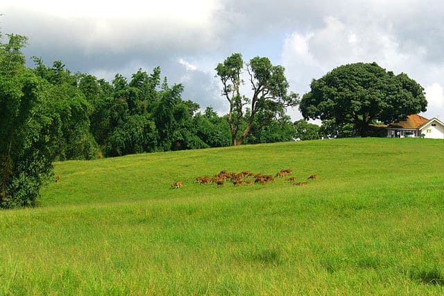 5 Major Attractions Of South India The Travelers Way